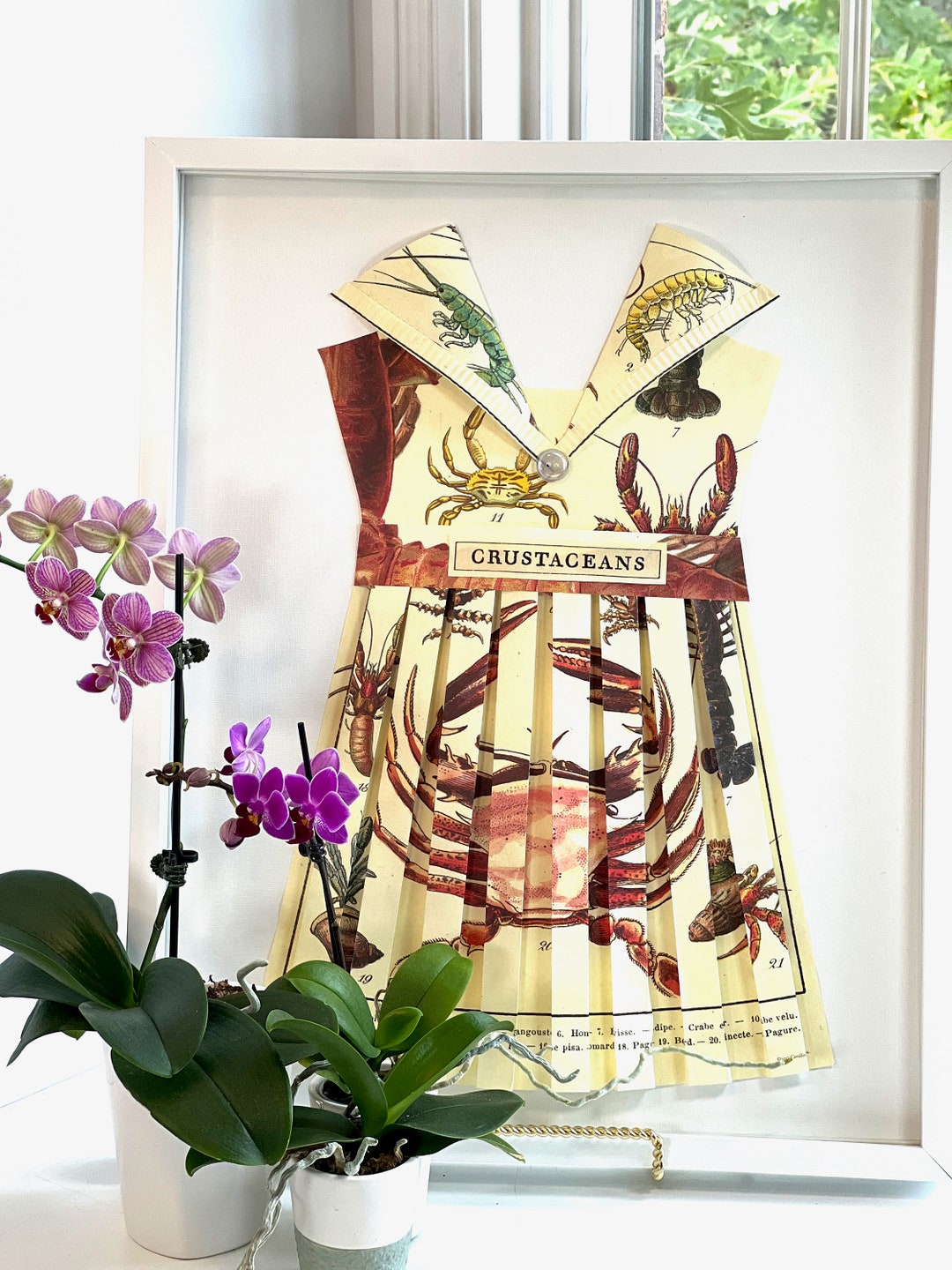 Crustacean Pleated Paper Dress Art, Florida Wall Art, Sea Animal Wall ...