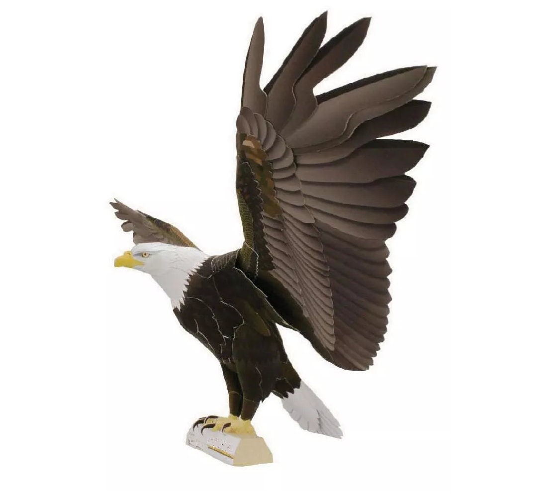 Paper Model 3D Eagle to Print and Assemble Plans Diy - Etsy