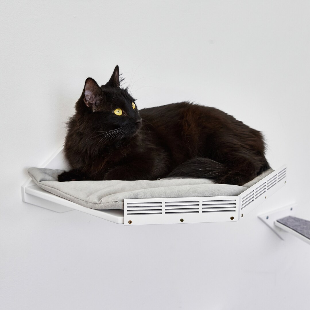 Cat Shelf, Cat Wall Bed, Cat Wall Furniture, Cat Floating Shelf, Cat ...