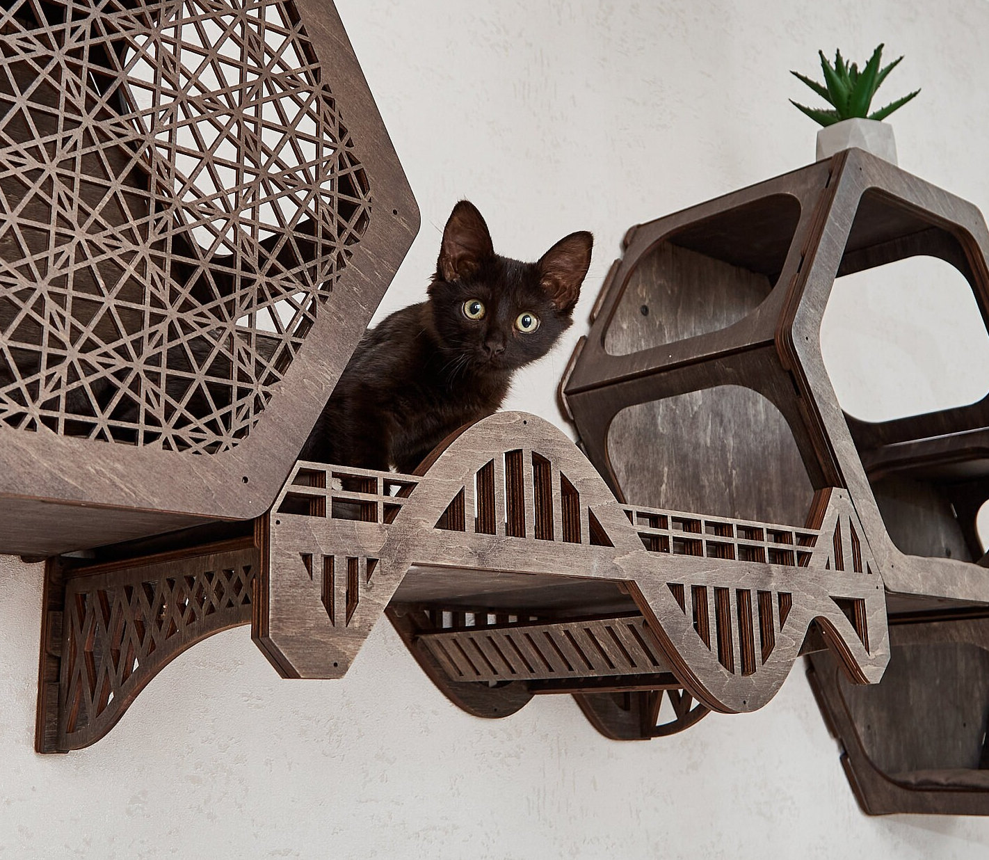 Unique Cat Bed, Cat Shelf, Cat Wall Furniture, Cat Wall Shelves, Cat ...
