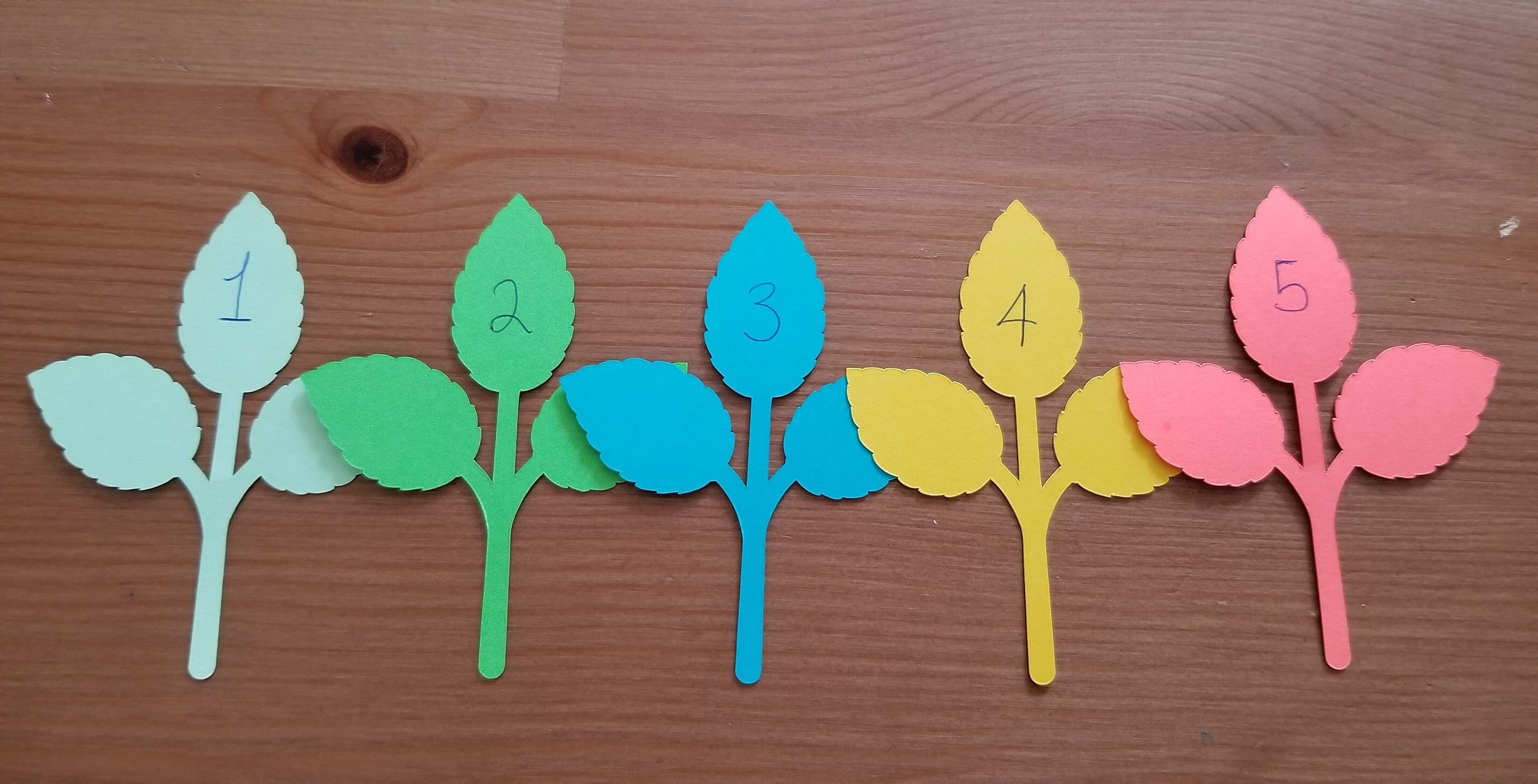Three Leaf Cutouts - Etsy