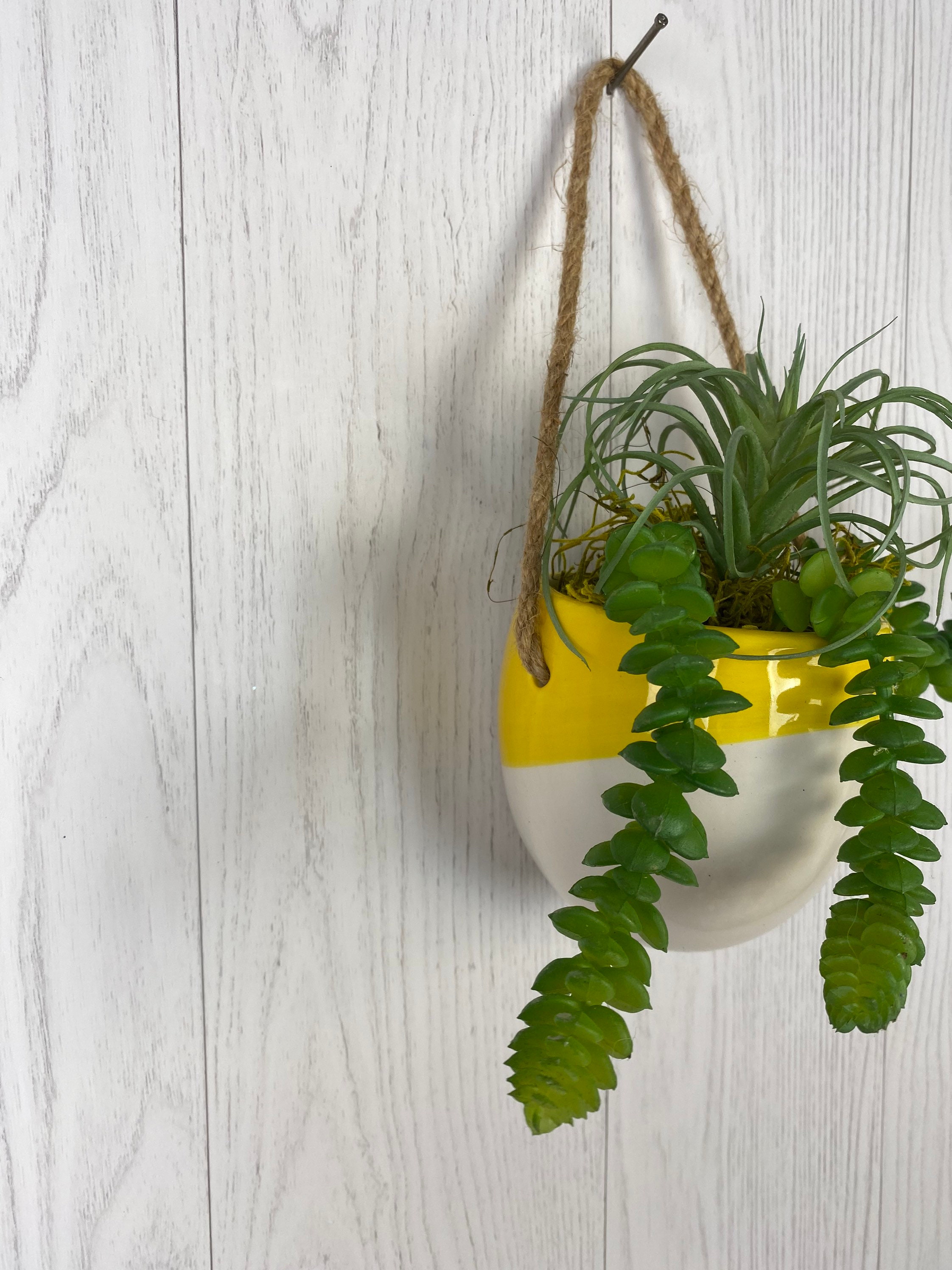 Artificial Succulent Hanging Plant Air Plants and Holders - Etsy