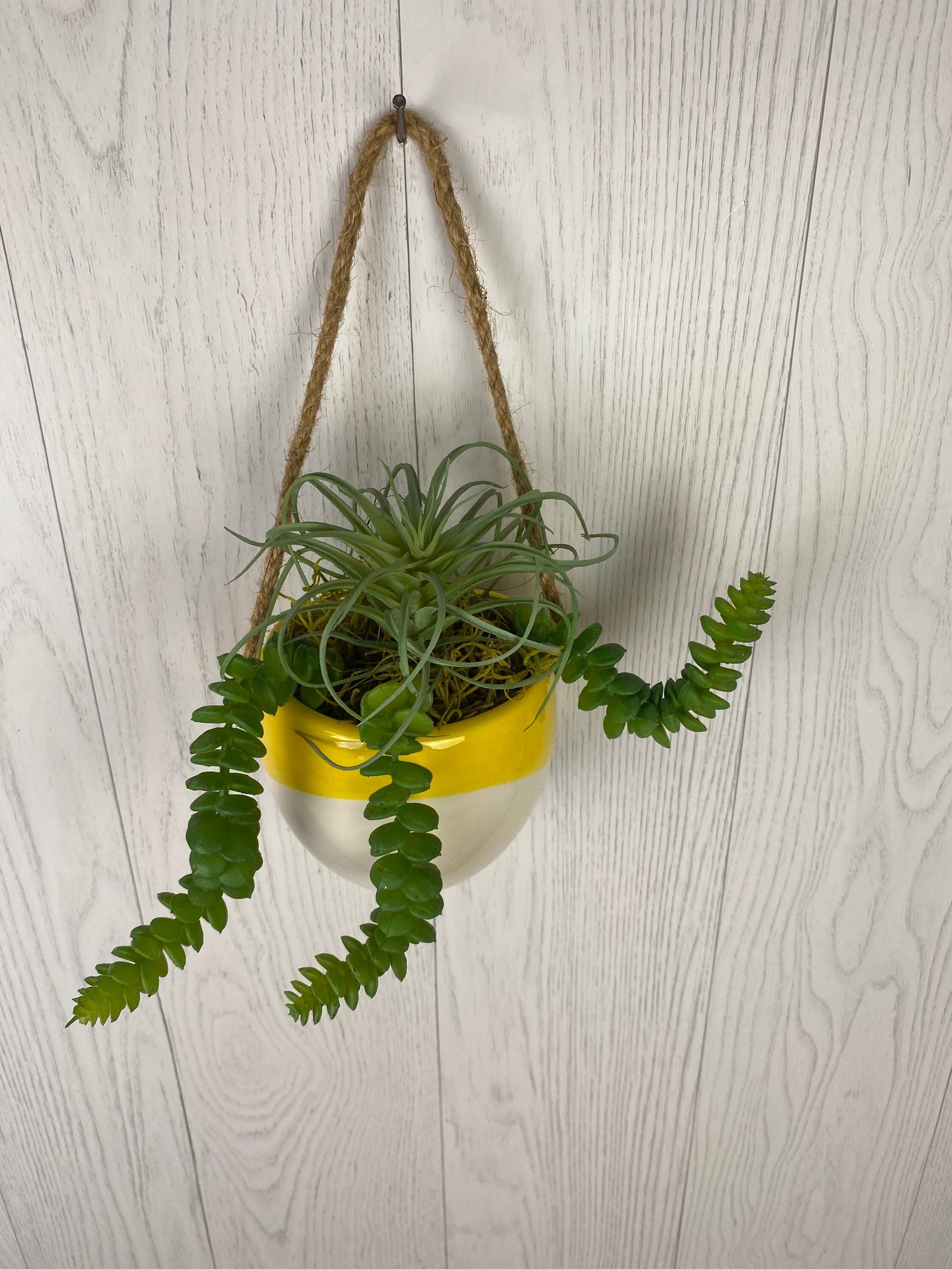 Artificial Succulent Hanging Plant Air Plants and Holders - Etsy
