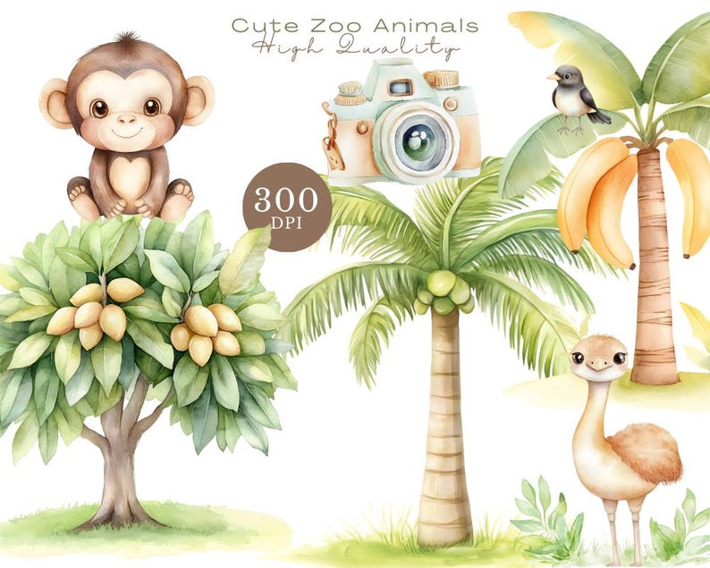 67 Cute Zoo Animals Clipart Lanimal Nursery L PNG Digital Download L ...