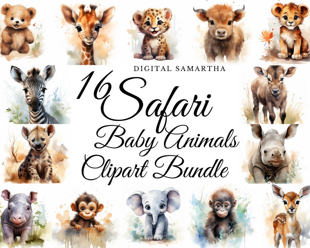 Safari Baby Animals Watercolor Clipart Bundle, Nursery Decor, Animal ...
