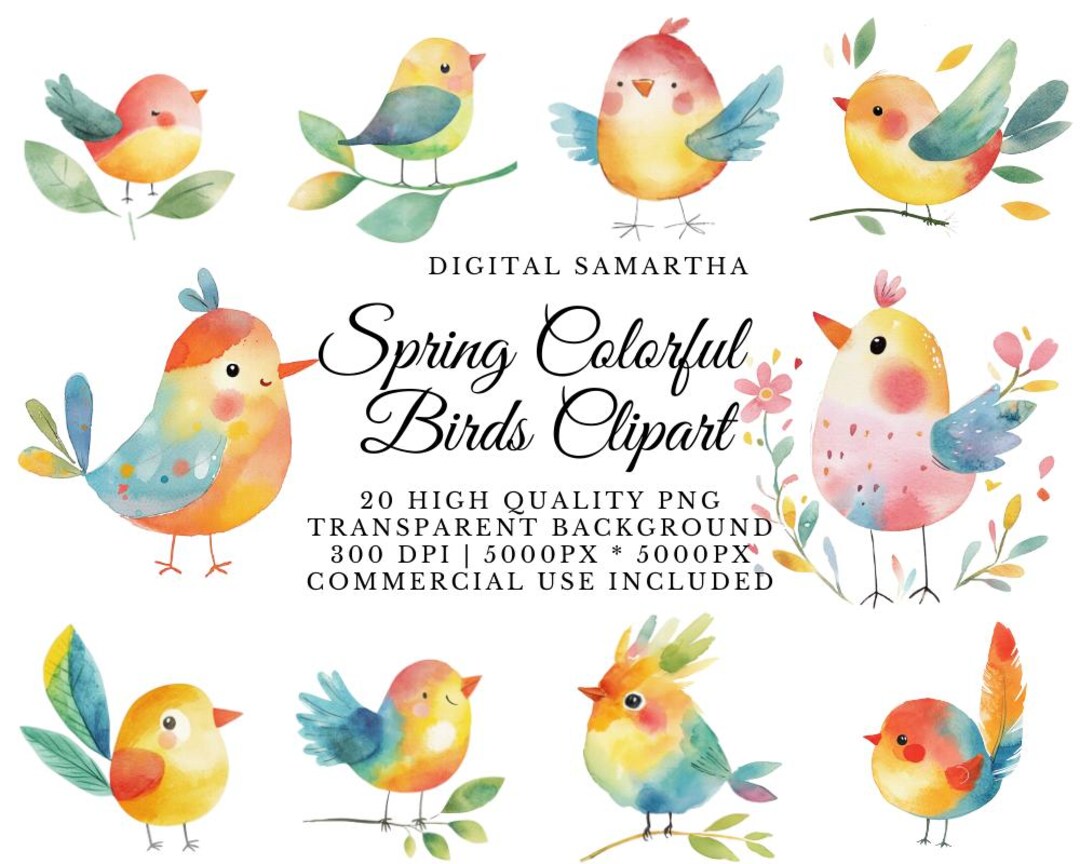 20 Spring Colorful Birds Clipart L Spring Birds L PNG Digital Download ...
