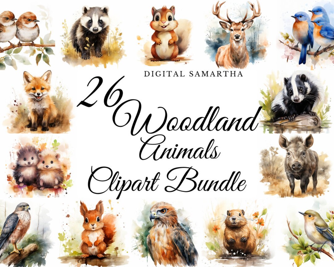 Woodland Animals Watercolor Clipart Bundle Nursery Wall - Etsy