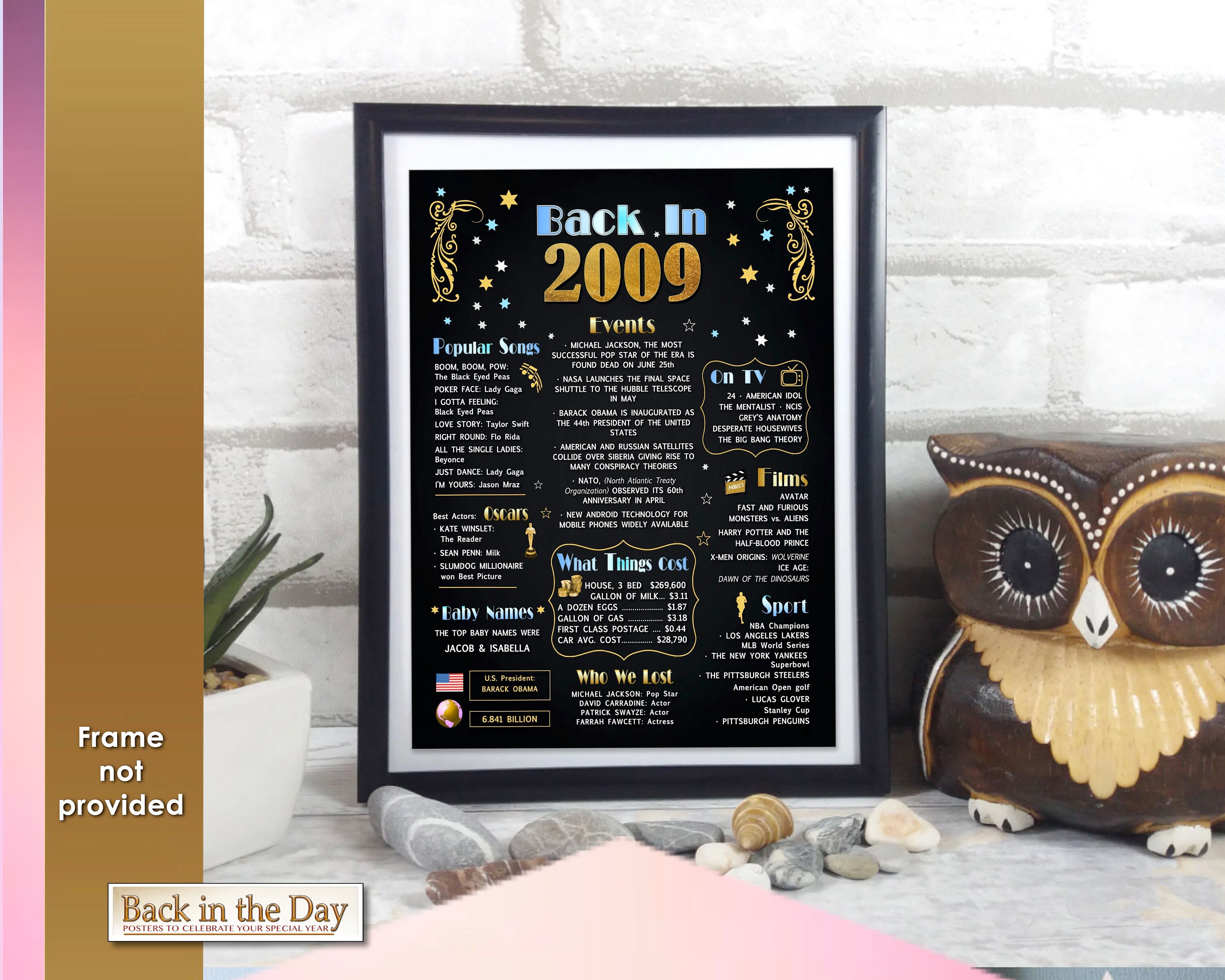The Year You Were Born 2009, Celebration Chalkboard Style Poster, Back ...