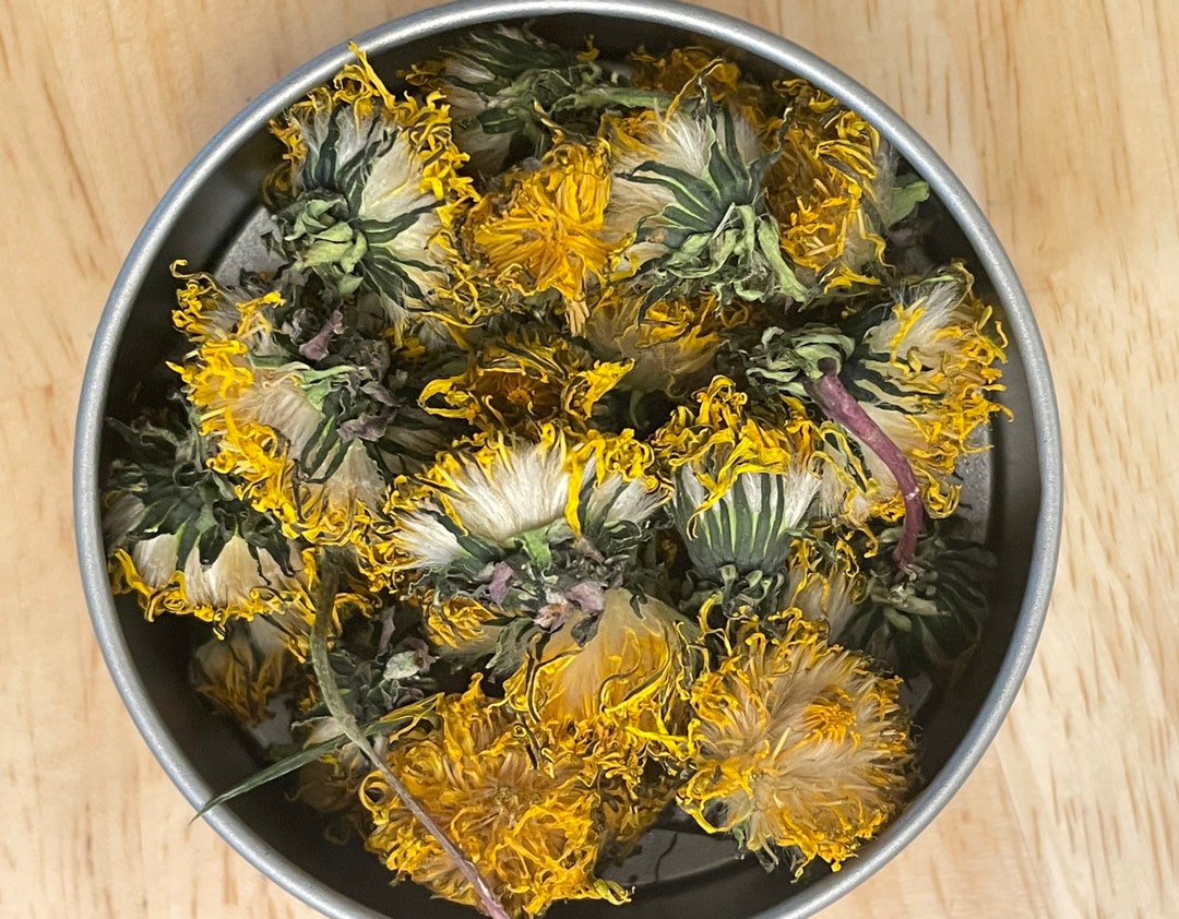 Dandelion Flower Herbal Tea, Organic Homegrown Dandelions, Dandelion ...
