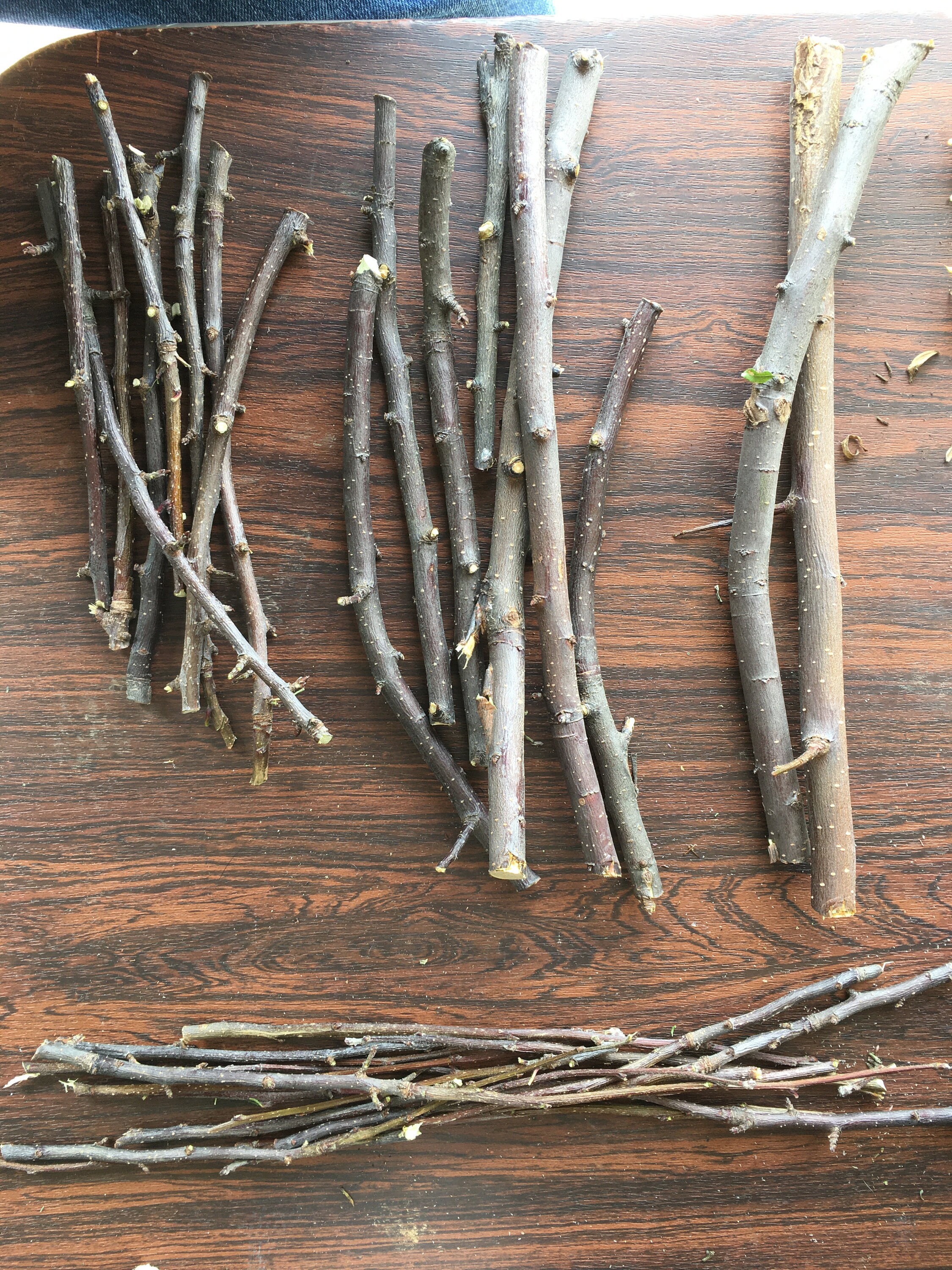 Apple Tree Wood Crafting Decor Sticks Natural Incense Sticks | Etsy