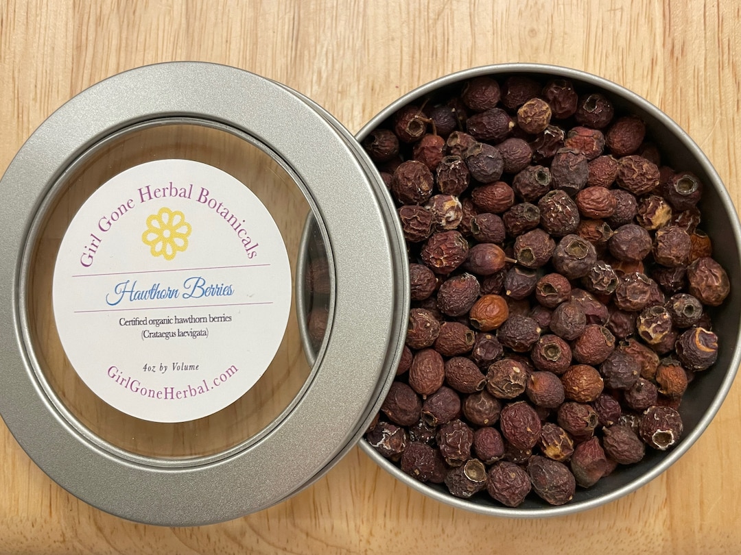 Hawthorne Berry Herbal Tea, Hawthorn Berry Infusion, Organic Hawthorn ...
