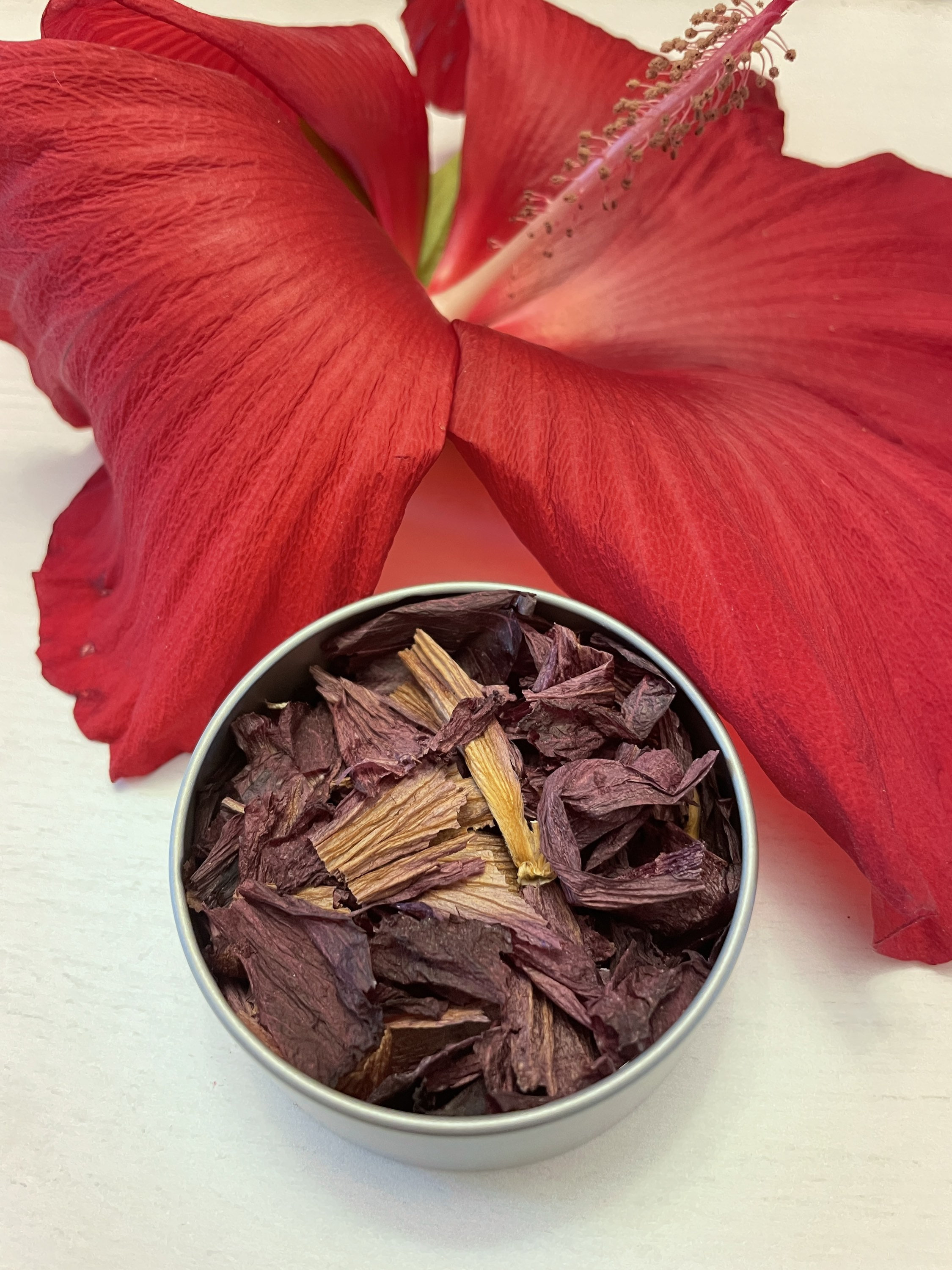 Red Hibiscus Herbal Tea Homegrown, Flower Tea, Hibiscus Tisane ...