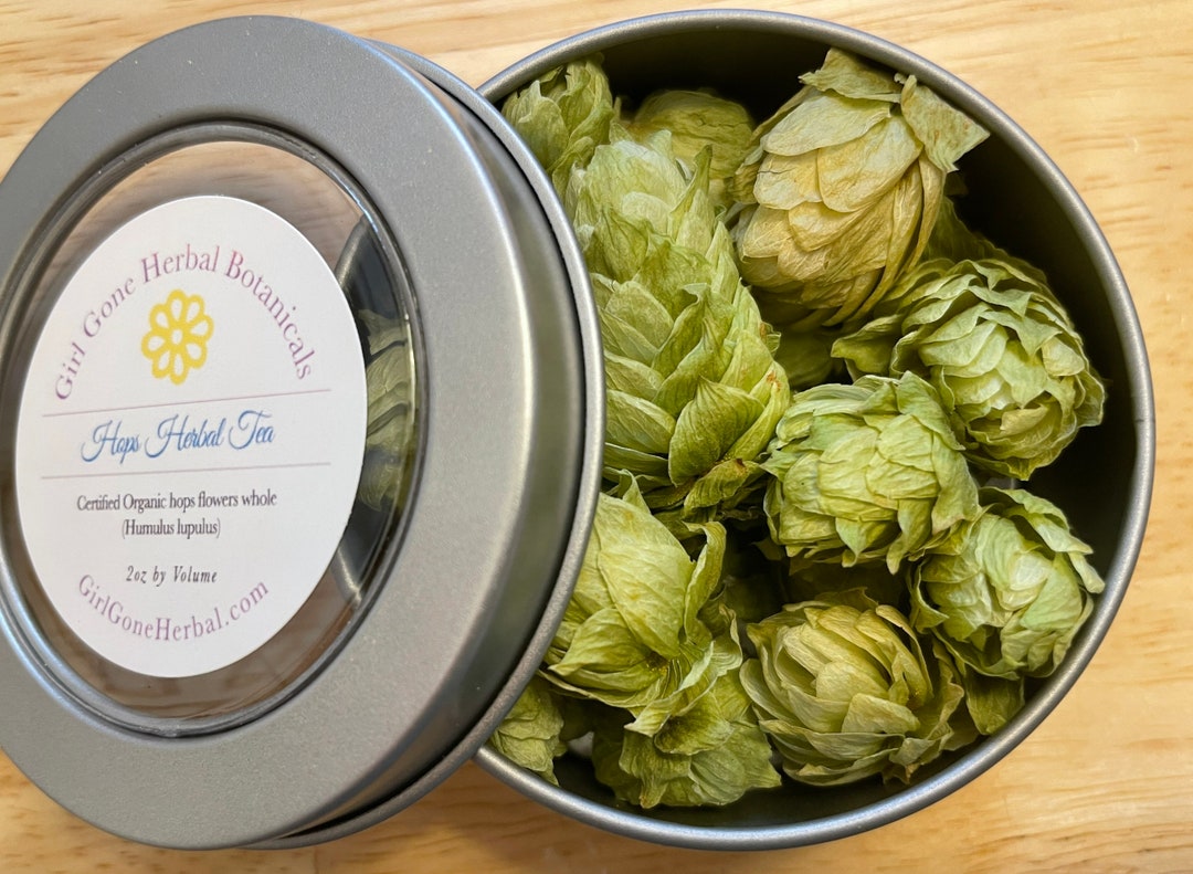 Hops Herbal Tea, Organic Hops Herb, Hops Infusion, Hops Decoction ...
