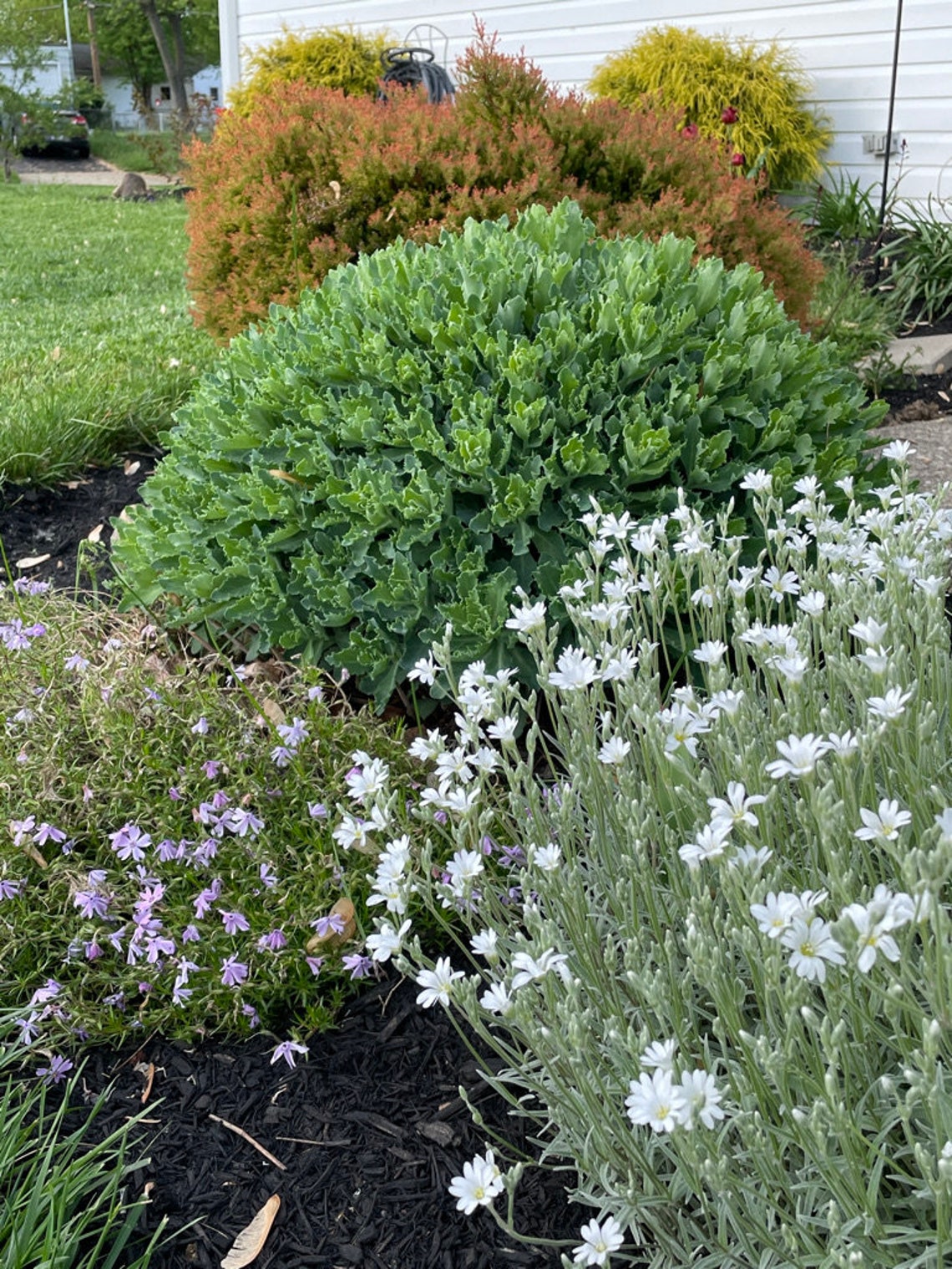 Custom Landscape Design Custom Garden Plans Backyard Oasis | Etsy