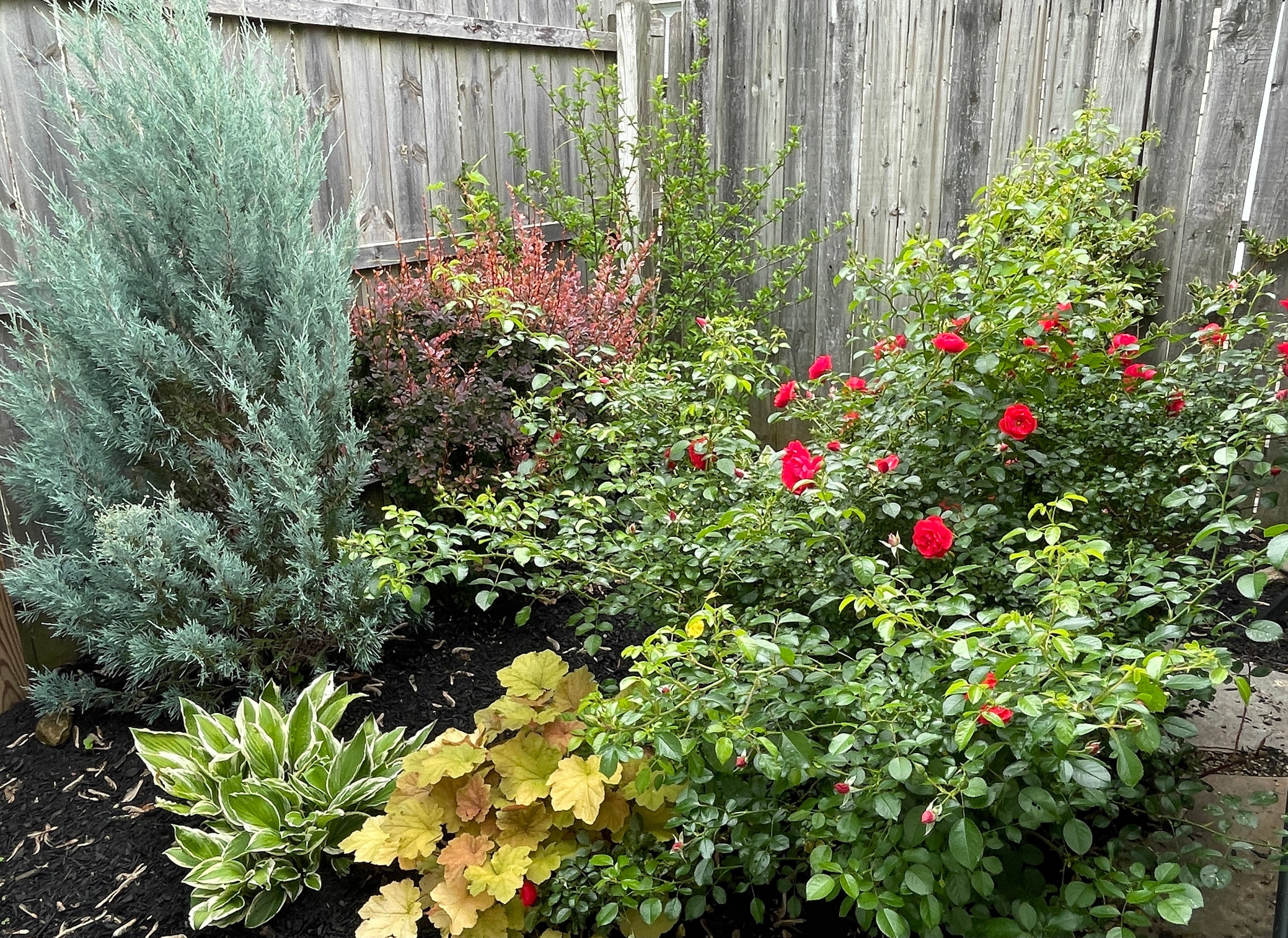 Custom Landscape Design, Professional Custom Garden Plans, Curb Appeal ...