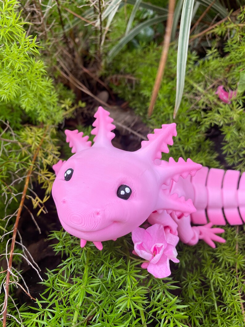 Axolotl Matmire Makes Original made to Order Articulated - Etsy