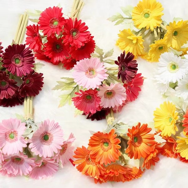 Gerbera Daisy - Etsy