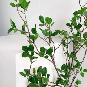 Ficus Microcarpa Branch Real Touch Artificial Faux Plant Home Decor ...