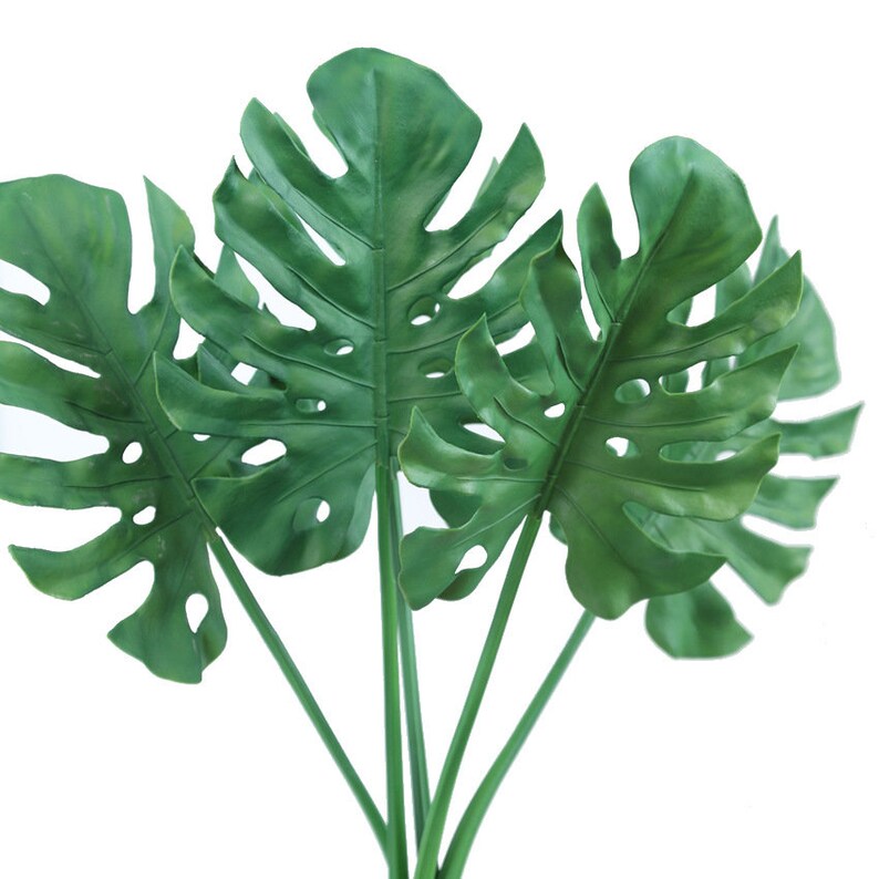 Real Touch Evergreen Leaves Home Decor Leaves , 4 Style, for Bouquet ...