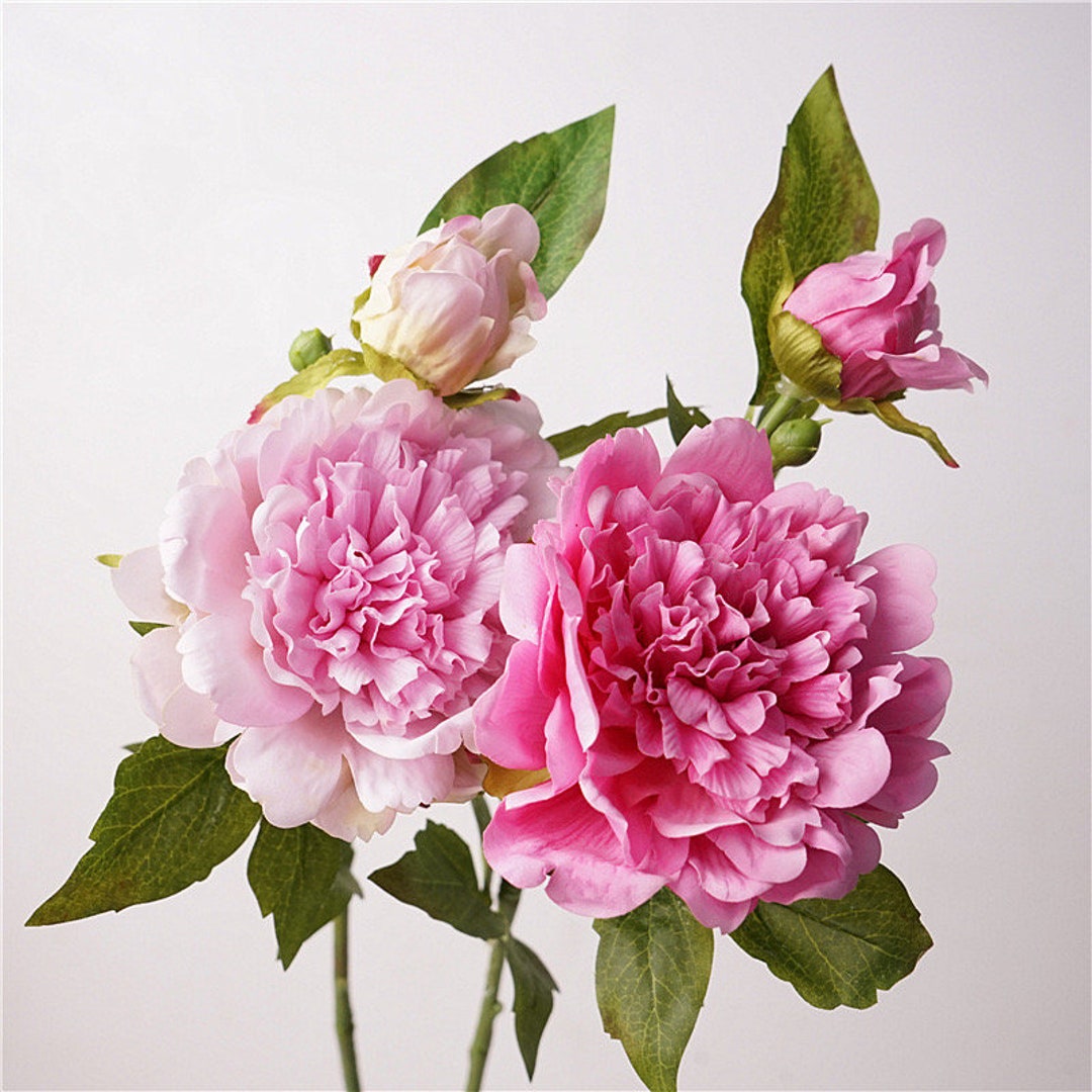 25.6"(overall Length) 2 Heads Real Touch Peony Artificial Faux Flower ...