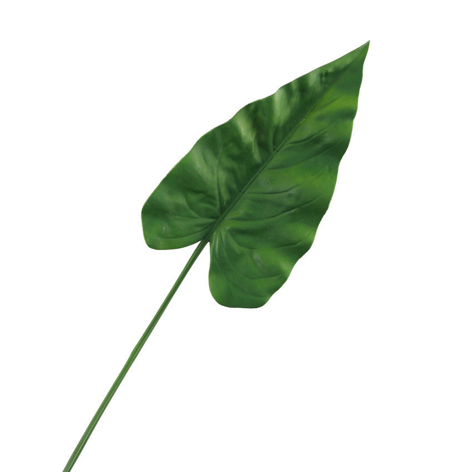 Real Touch Evergreen Leaves Home Decor Leaves , 4 Style, for Bouquet ...