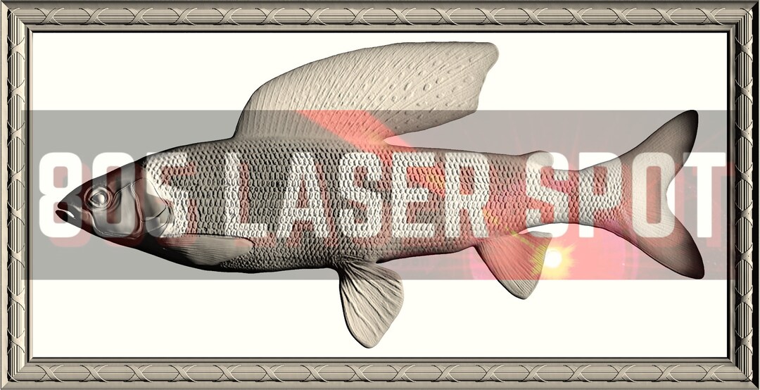 Digital Design File - Arctic Grayling Fish Framed - Glowforge - Laser ...