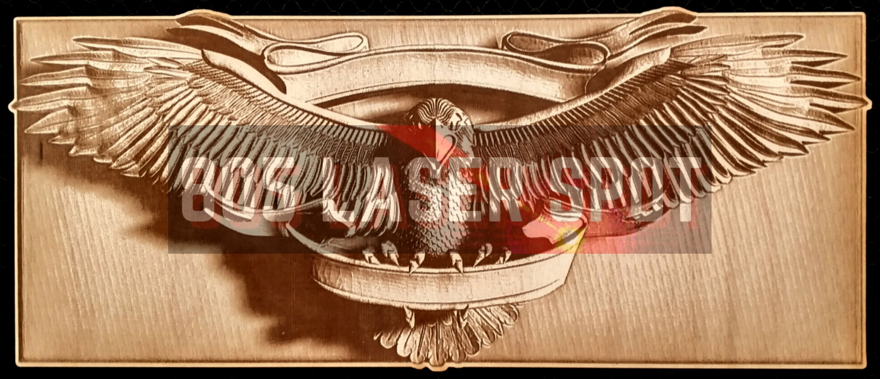 American Eagle Banner