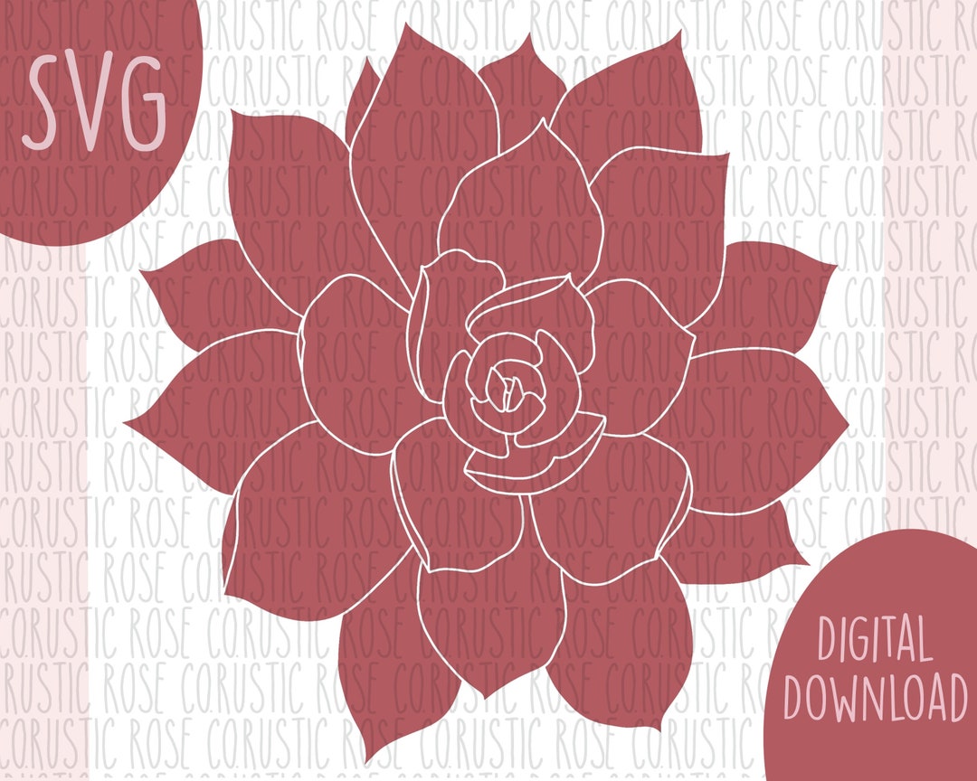 Succulent SVG | Succulent Cactus Plant Cut File, Floral/leafy Digital ...