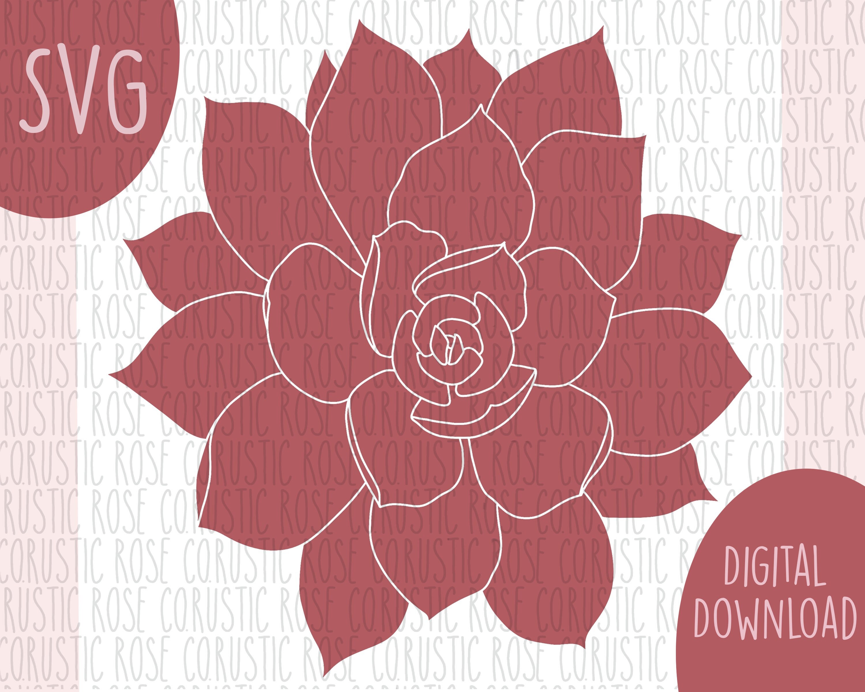 Succulent SVG Succulent Cactus Plant Cut File Floral/Leafy | Etsy