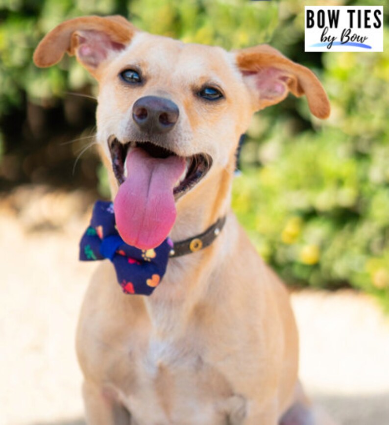 Colorful Neon Paw Print Pet Bow Tie Perfect for Dogs - Etsy