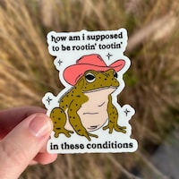 Country Toad Vinyl Sticker - Etsy