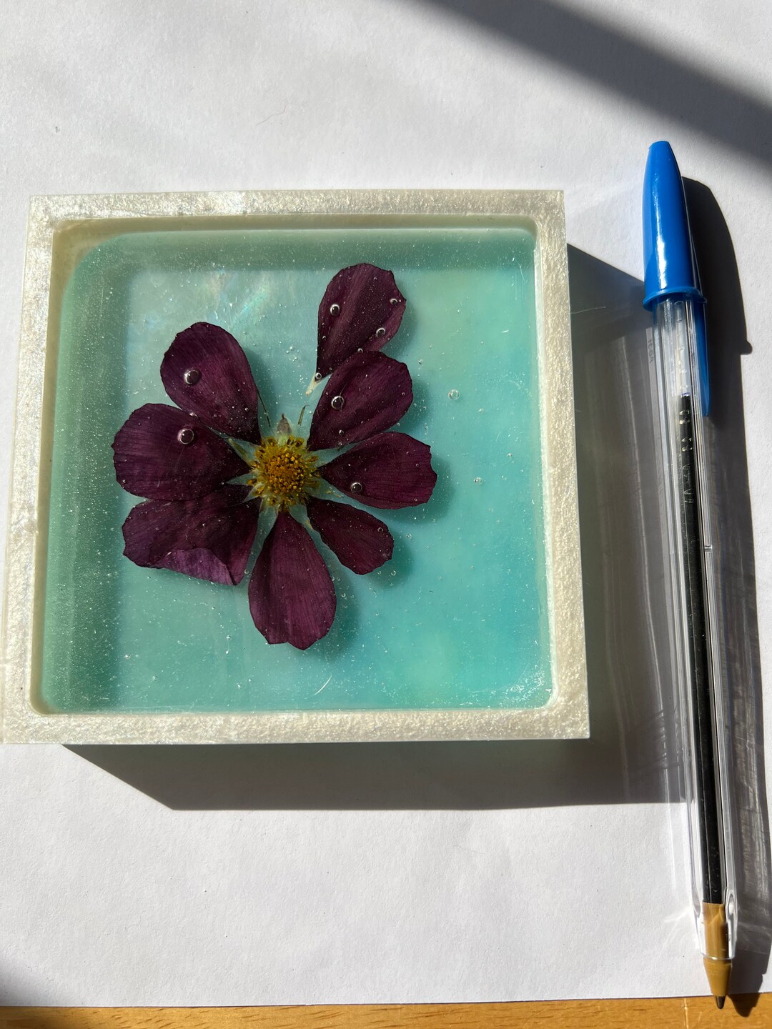 Real Pressed Pink Cosmos Stained Glass Resin Coaster/ Cosmos - Etsy