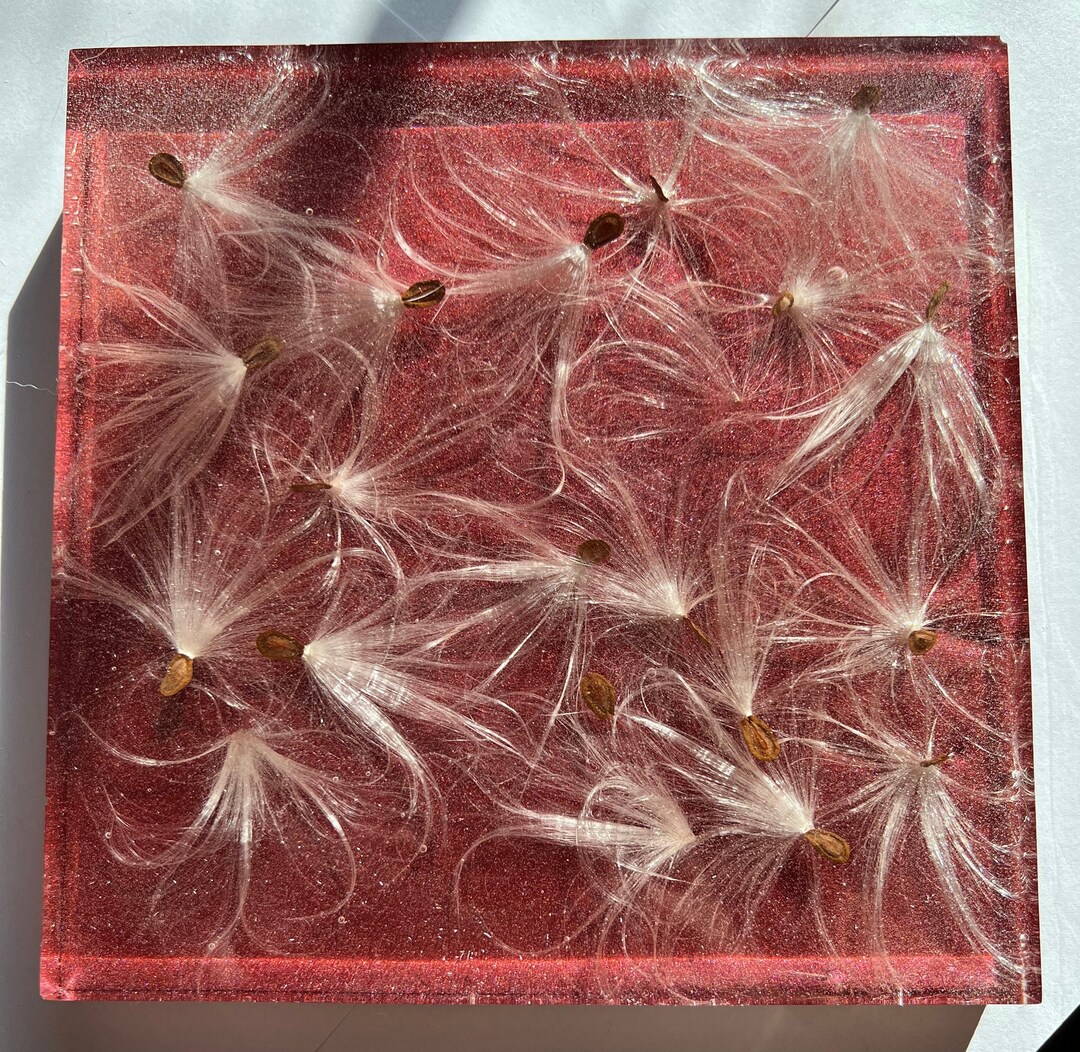 Milkweed Seed Head Centerpiece / Square Resin Tray Hot Pad / Butterfly ...
