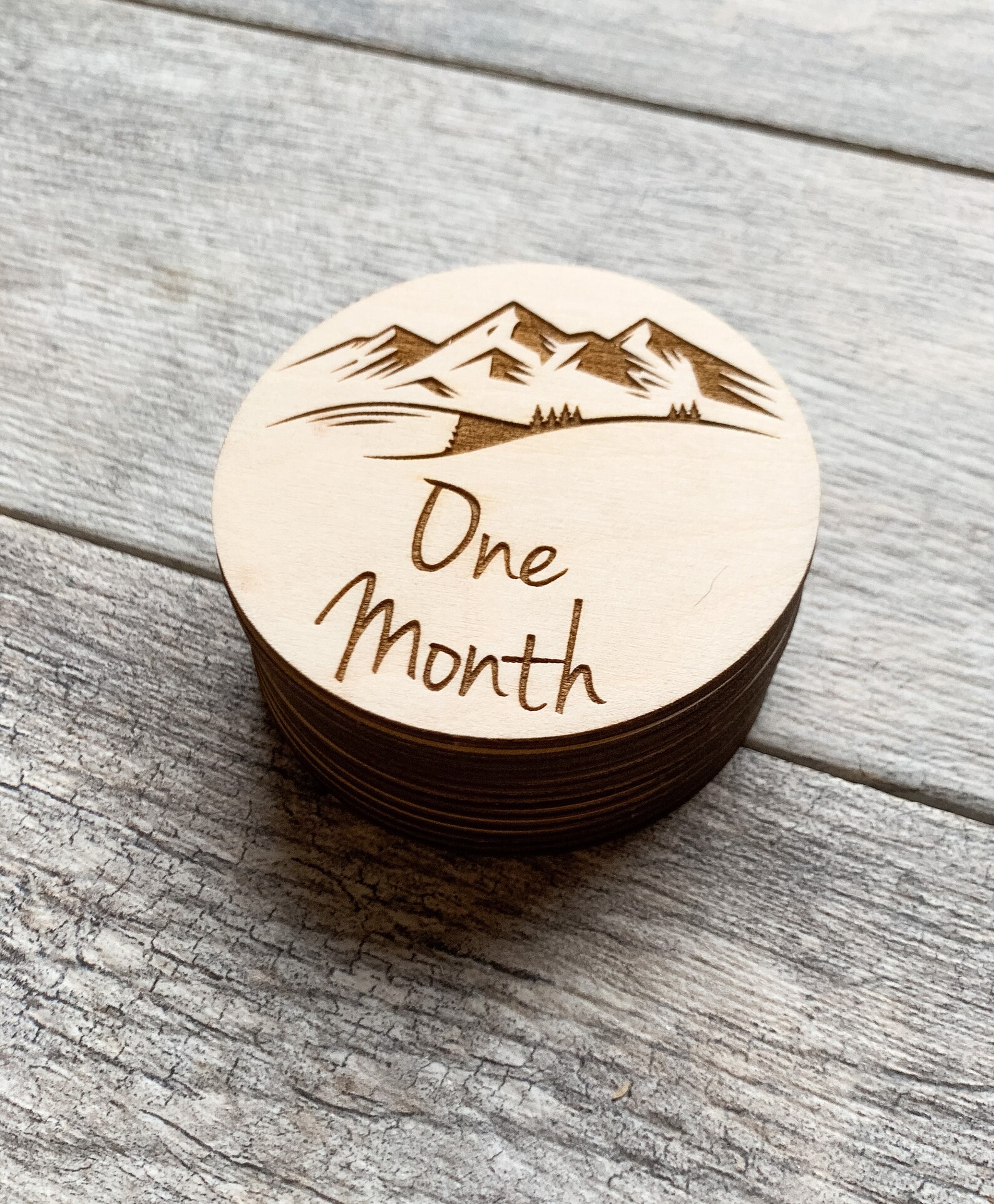 Rainbow Wooden Milestone Marker Monthly Milestones Rainbow Pregnancy ...