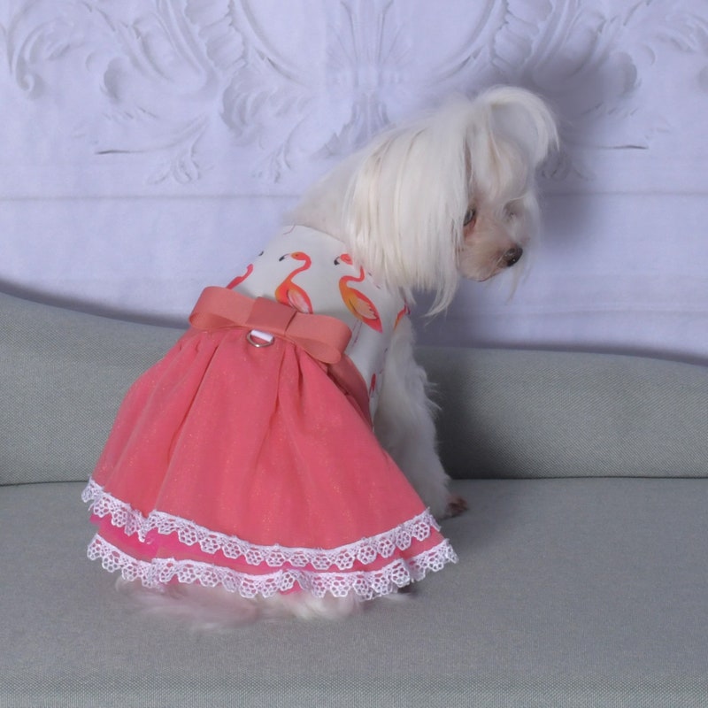 Maltese Clothes - Etsy