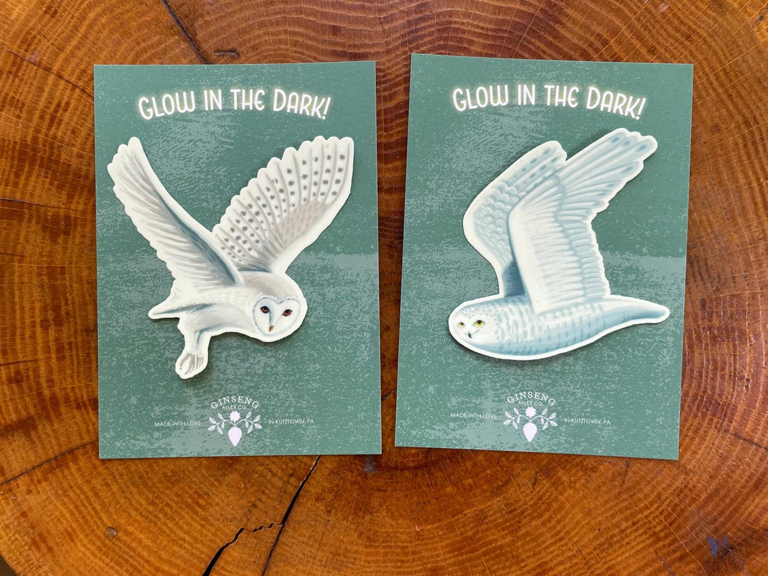 Owl Glow-in-the-dark Stickers | Barn Owl & Snowy Owl Stickers - Etsy