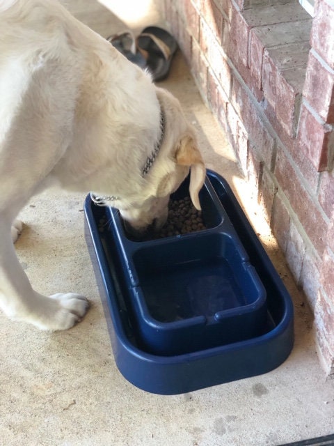 No More Ant's Dog & Cat Bowl, Moat Meal Ant-proof Pet Bowl - Etsy