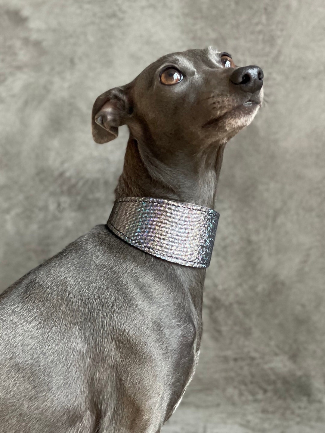 Glitter Dog Collar, Leather Dog Collar, Soft Dog Collar, Cute Dog ...