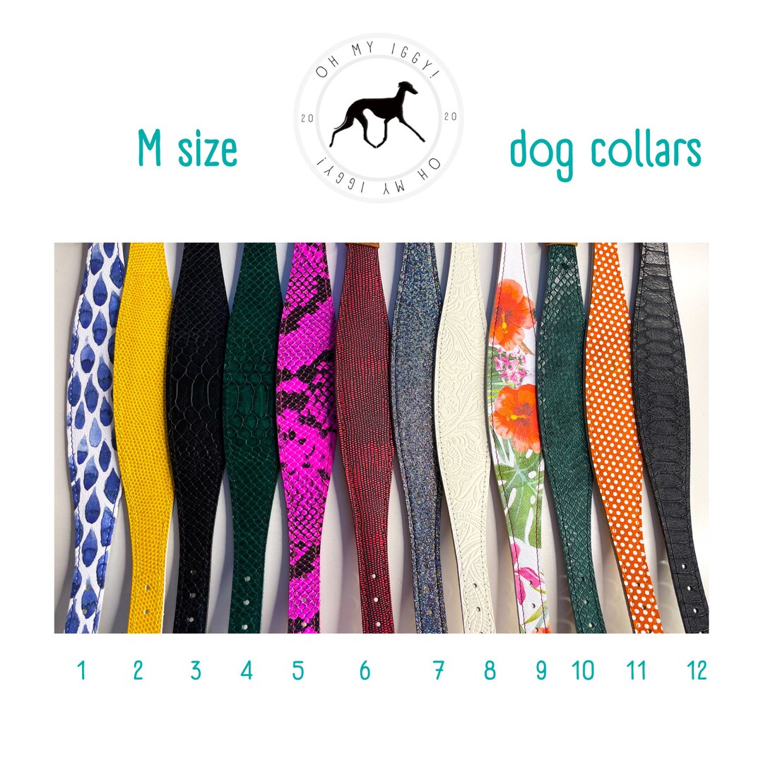 Leather Dog Collar Medium Breeds, Whippet Collar, Poodle Collar, Luxury ...