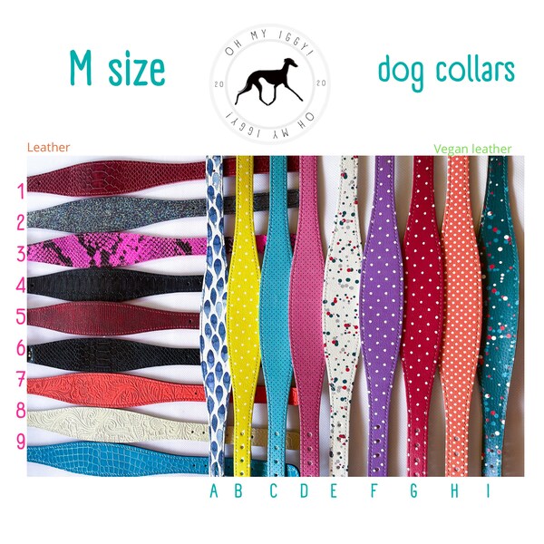 Poodle Dog Collar - Etsy