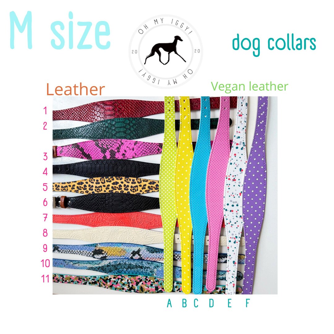 Leather Dog Collar Medium Breeds, Whippet Collar, Poodle Collar, Luxury ...