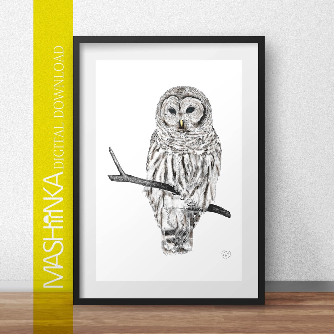 Owl Ink Drawing, Wall Art Prints, Nursery Decor, Birds, Instant ...