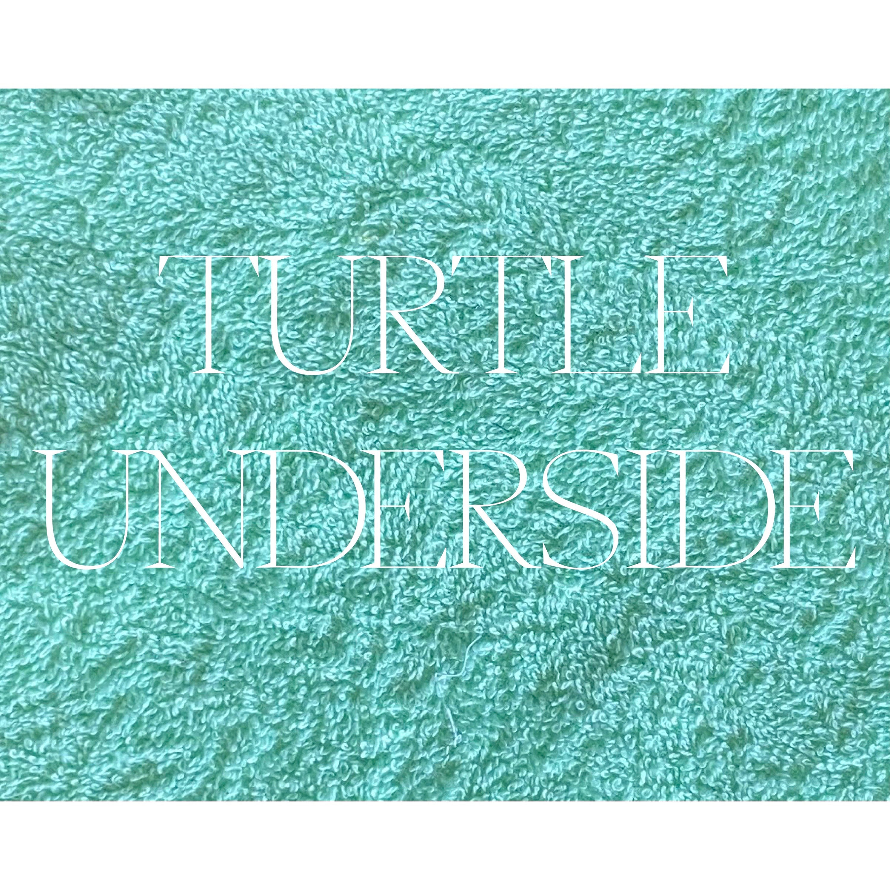 Floor Turtle / Handmade Turtle Mop for Drops and Spills / Eco - Etsy UK