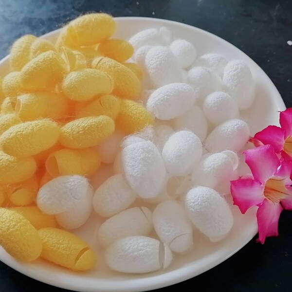 Silk Cocoon Jewelry - Etsy