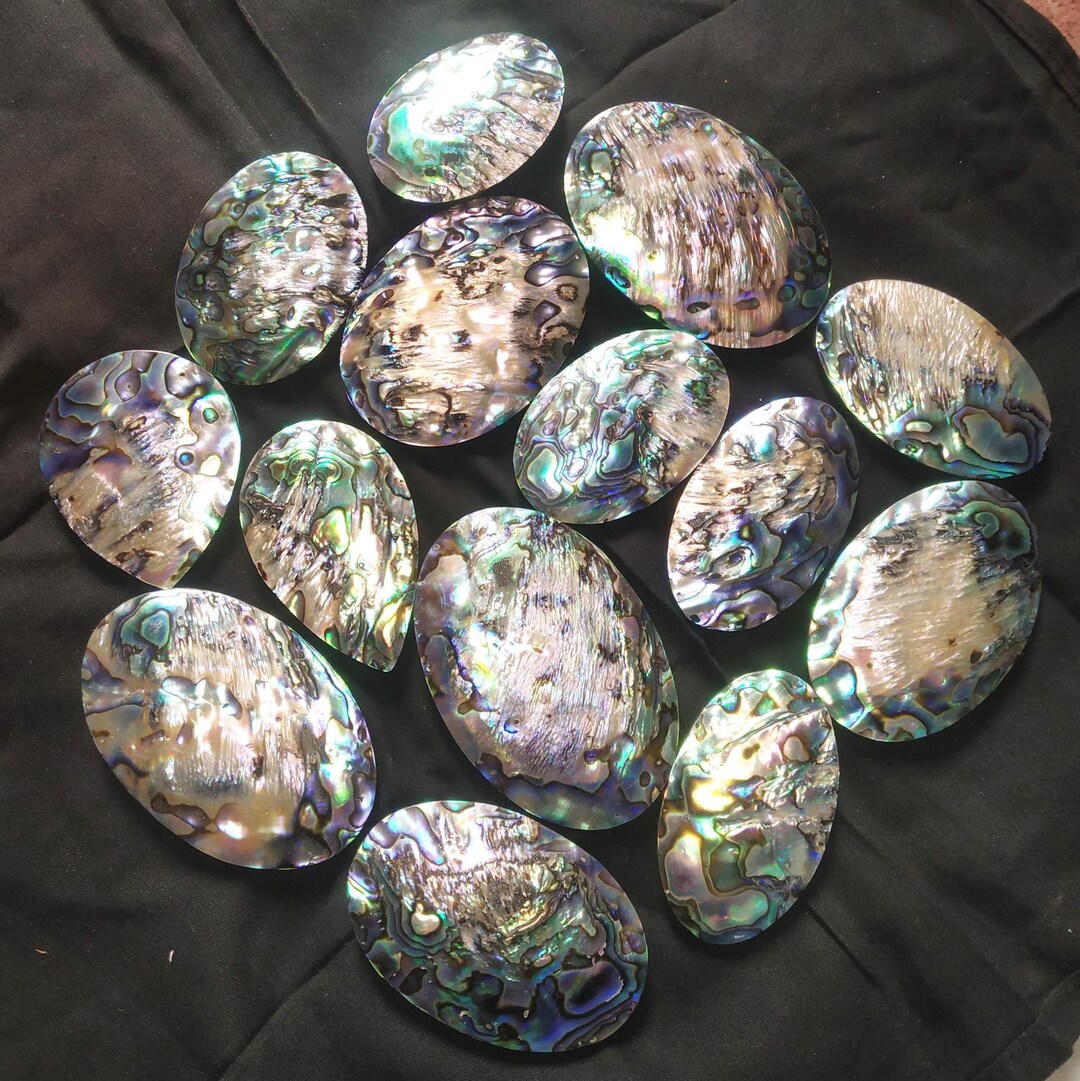 1.kg Large Abalone Shell Amazing Abalone Shell Dublet AAA Wholesale Lot ...