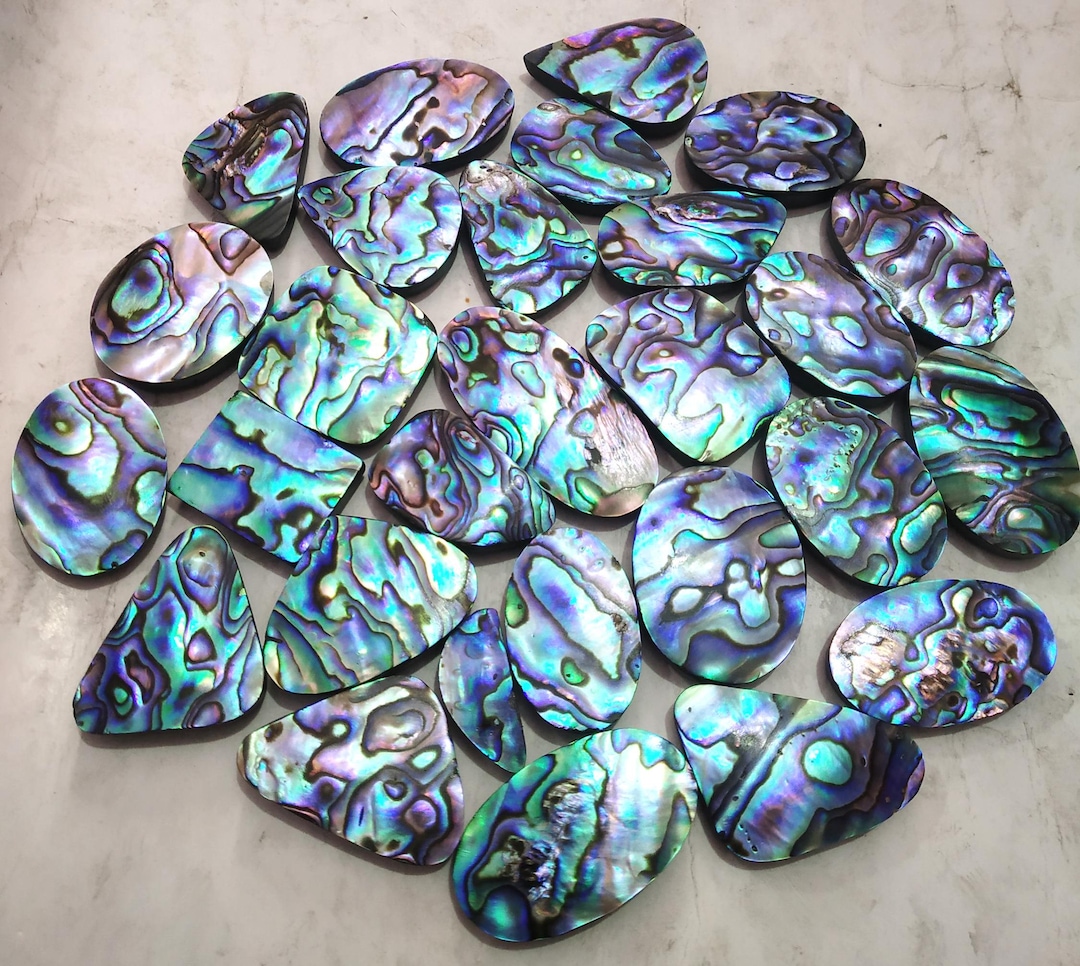 1.kg Abalone Shell Amazing Abalone Shell Dublet AAA Wholesale Lot ...