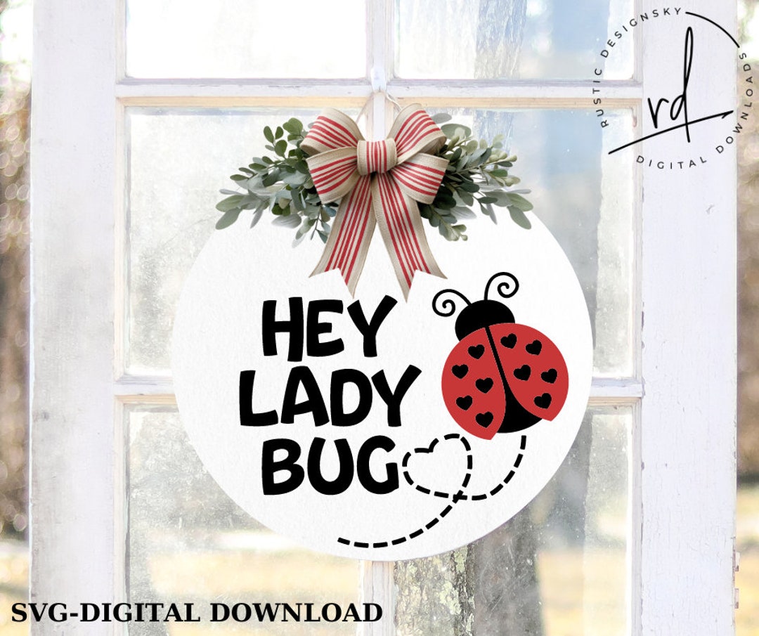SVG/PNG- Hey Lady Bug Layered Heart Ladybug-cricut|digtialdownload ...