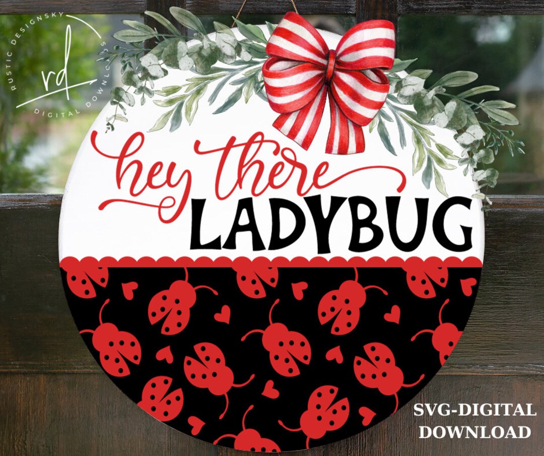 SVG/PNG- Hey There Ladybug With Ladybug and Heart Patter-cricut ...