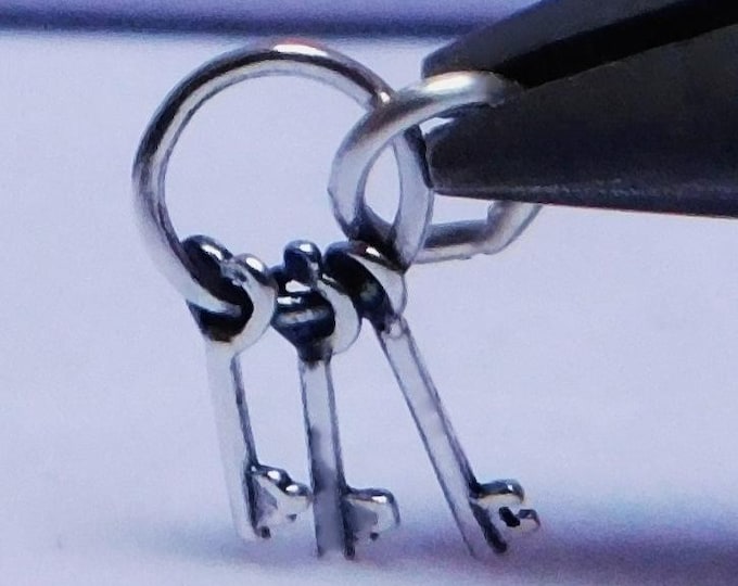 Super Tiny Sterling Silver 3D Skeleton Keys on a Ring Charm - Etsy