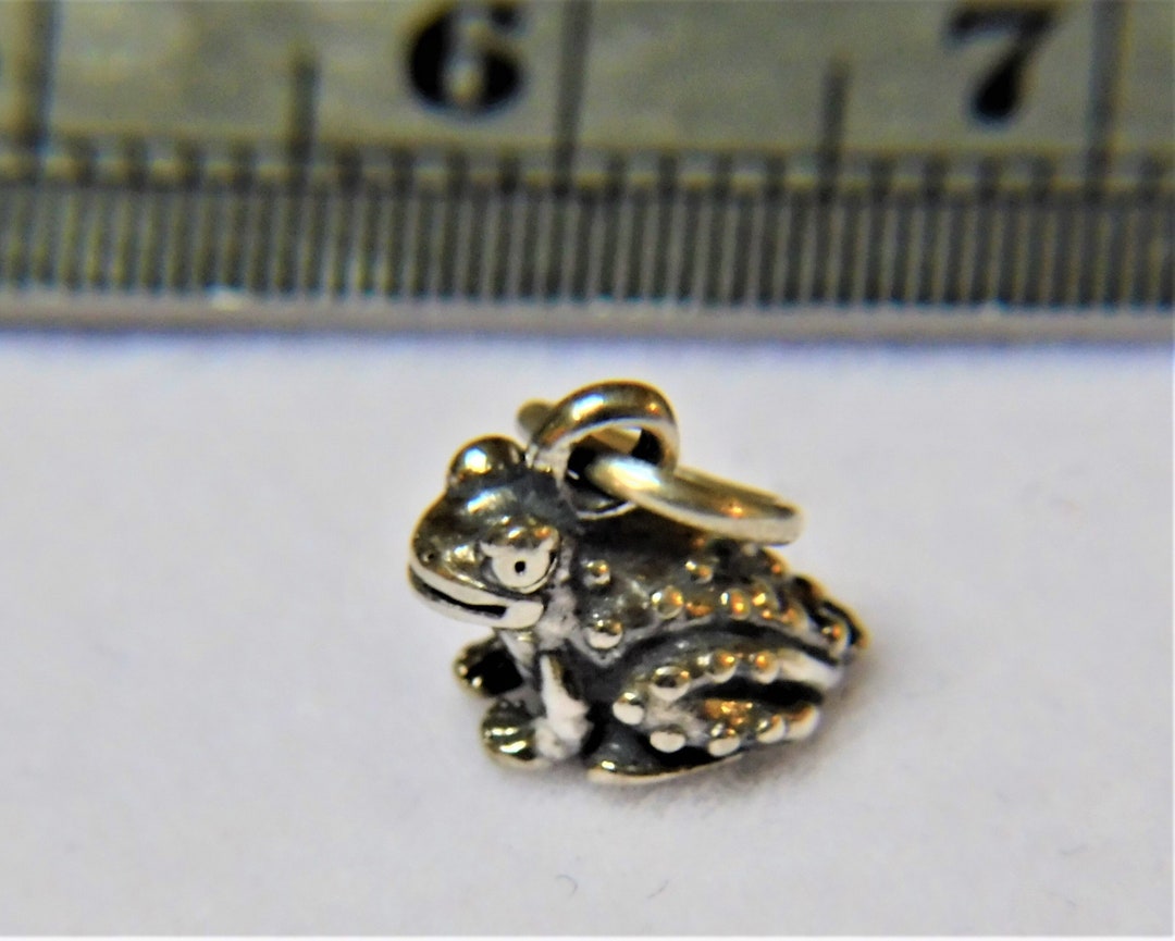 Super Tiny 3D Sterling Silver Frog Charm 7 X 12 Mm - Etsy